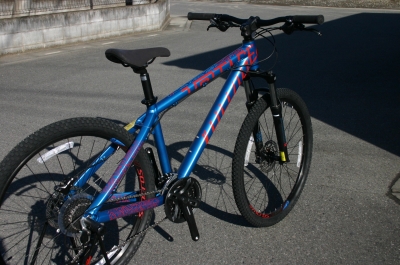 Scott Yz 20 2025 | www.levitan.com Scott Yz 20 2025 | www.levitan.com