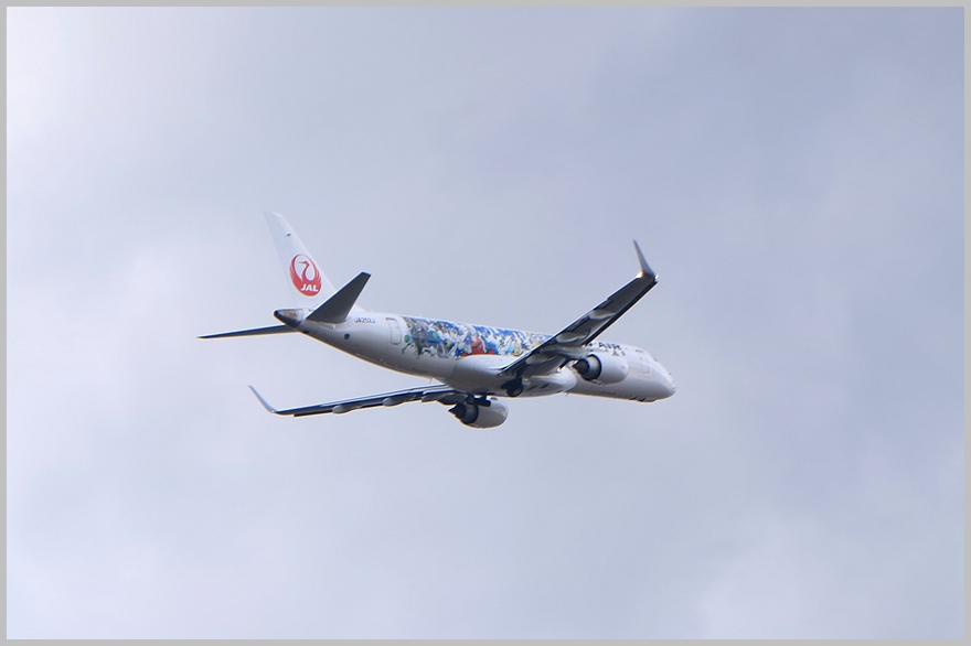 JAL×USJ | 写真ダイアリー