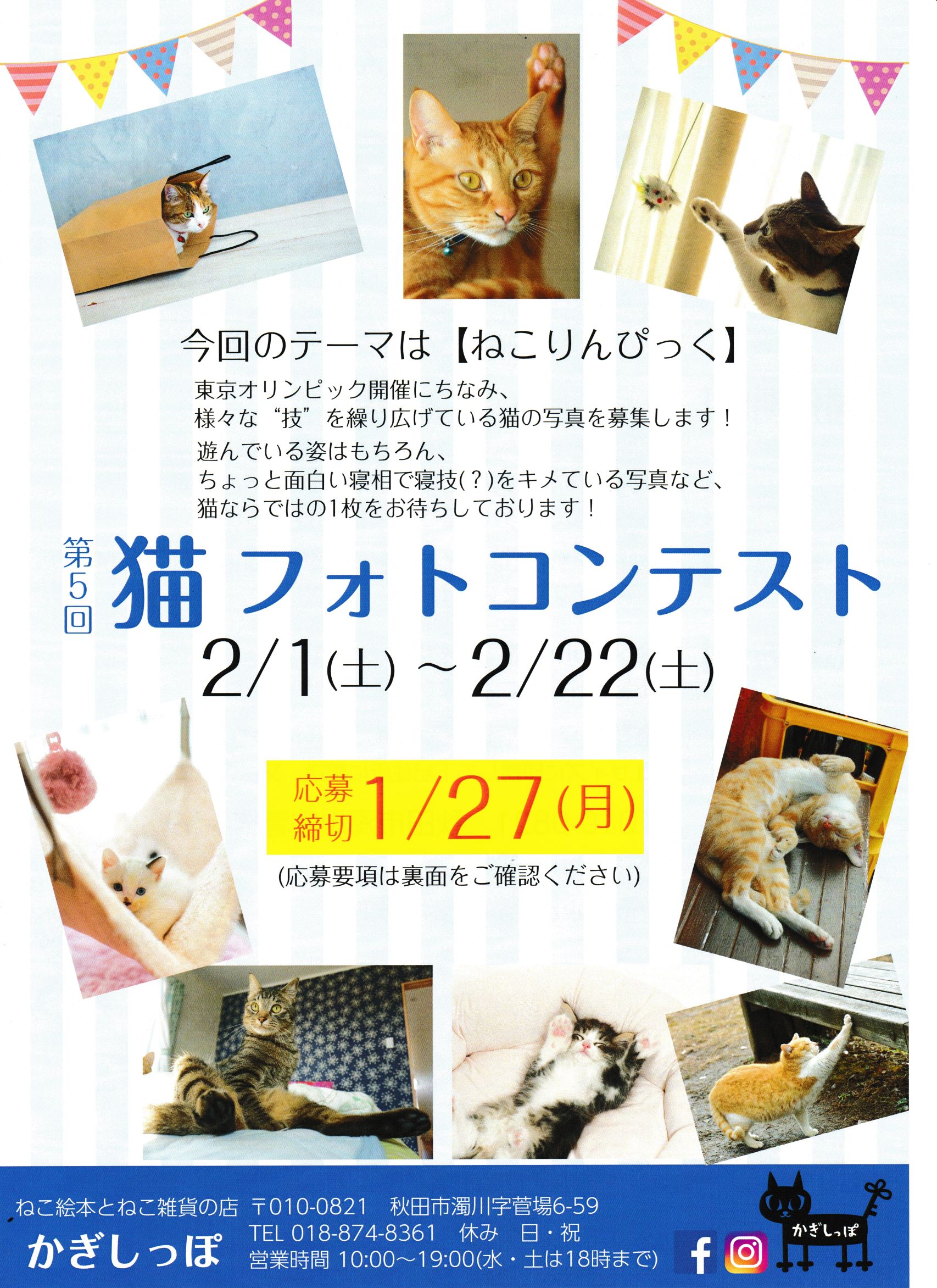 コンコンブル お雛様&お花見入荷 | かぎしっぽ コンコンブル お雛様&お花見入荷 | かぎしっぽ
