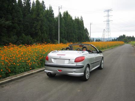 初秋のひとこま | 206CC**＆ELISE CR**＆ABARTH 500**と一緒♪