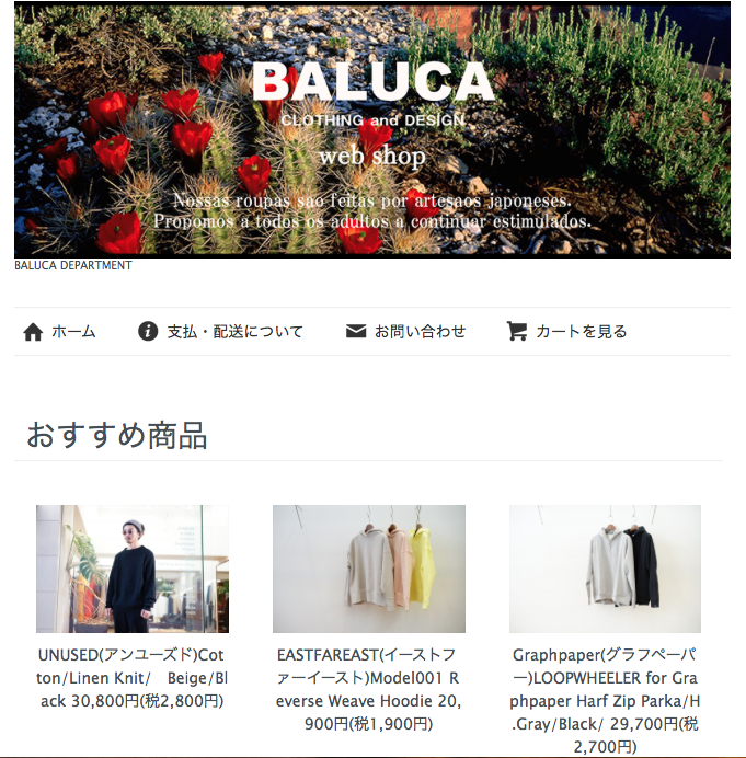”INFORMATION" | BALUCA JOURNAL