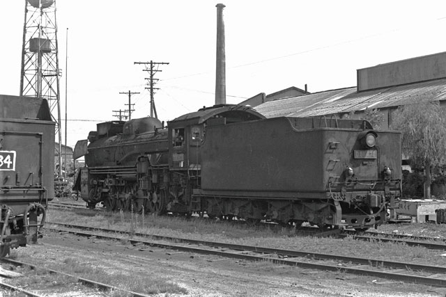 D51 473 撮影の旅 | マジコ的こころ