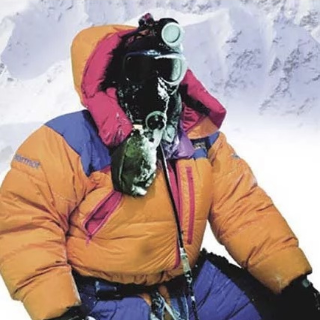 Better Gift Shop × Marmot | the Apartment Better Gift Shop × Marmot | the Apartment