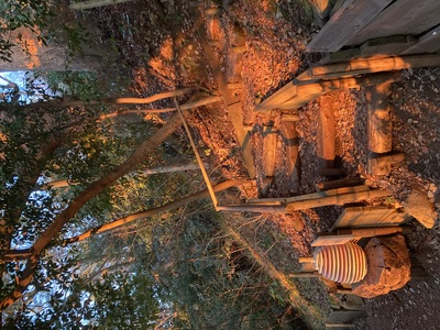 木登りでドレミファ空に近づくよ！