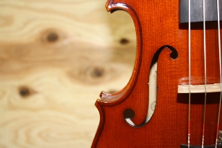 Karl hofner #167 | SoundScape Shop Blog