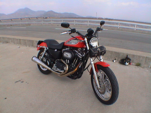 幻の883Rです。 | south freedom ｻｳｽフリーダム