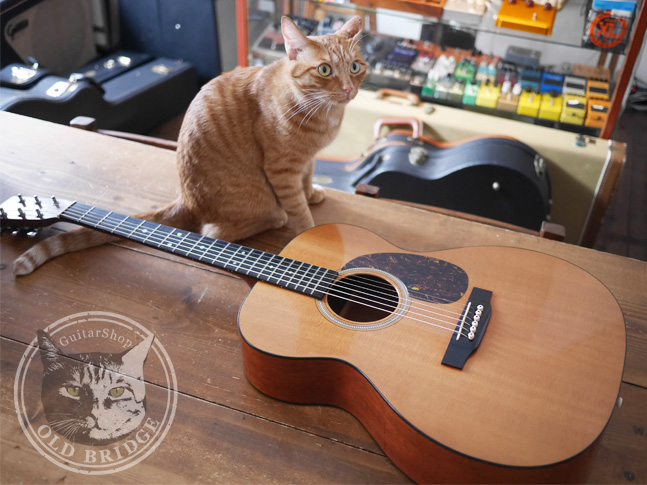 Martin OOOC-16GTE！ | Guitar Shop Old Bridge Blog