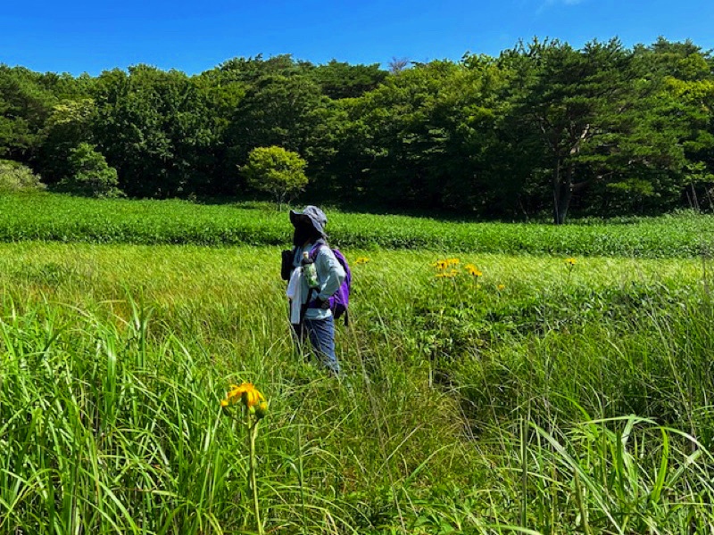皿ヶ嶺-朝登山 | 石鎚・剣山 登山ガイドサービス ”山旅”