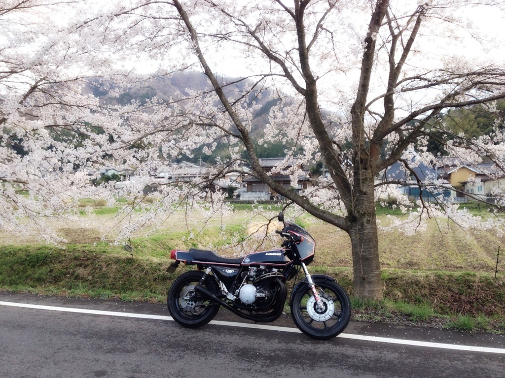 Z1R | JET GARAGE