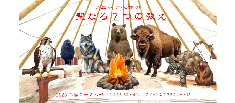 7 generations walk blog