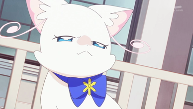 くにづくり日記じゅげむえみ～る