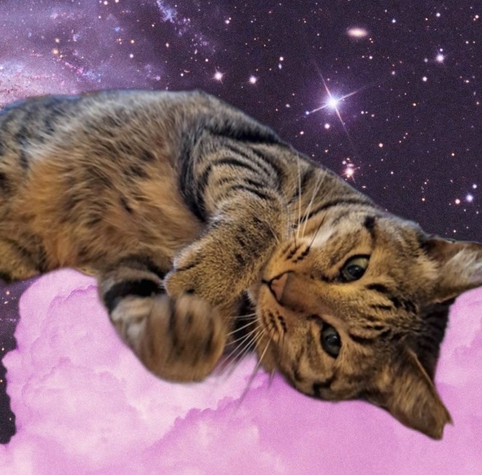 まあくまさこのBACK STAGE PASS☆