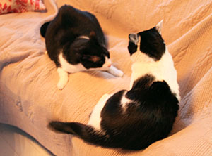 暮らしのアンティークSHOP「蔵の中」