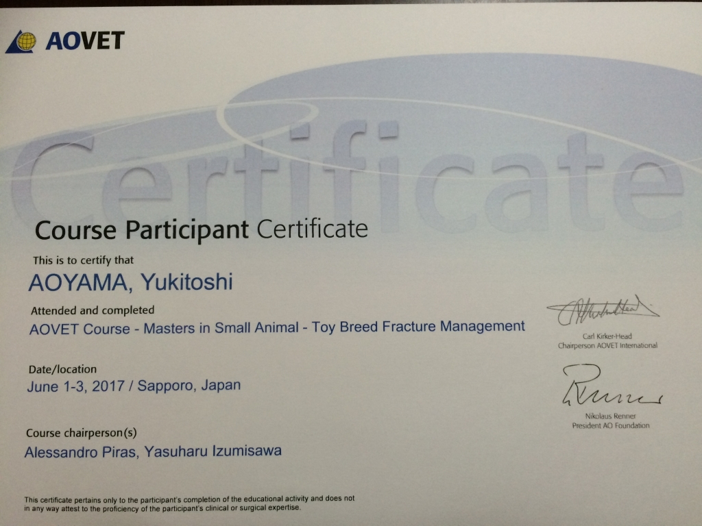 AOVET整形外科実習 | 青山動物病院