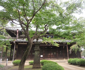 しのはら咲子 無所属・市民派 前亀岡市議会議員