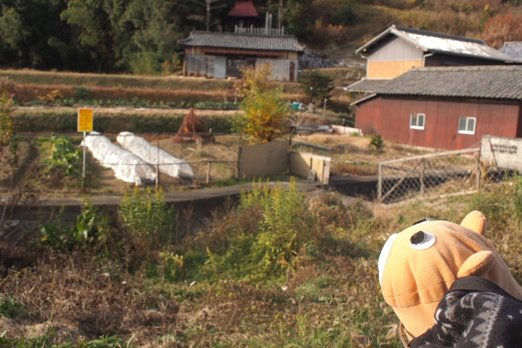 「思えば遠くへ来たもんだ」海援隊さん（ ︎優しいギター弾き語りコード） | 弾きやすい！とらちゃんの「優しいギターコード歌集」