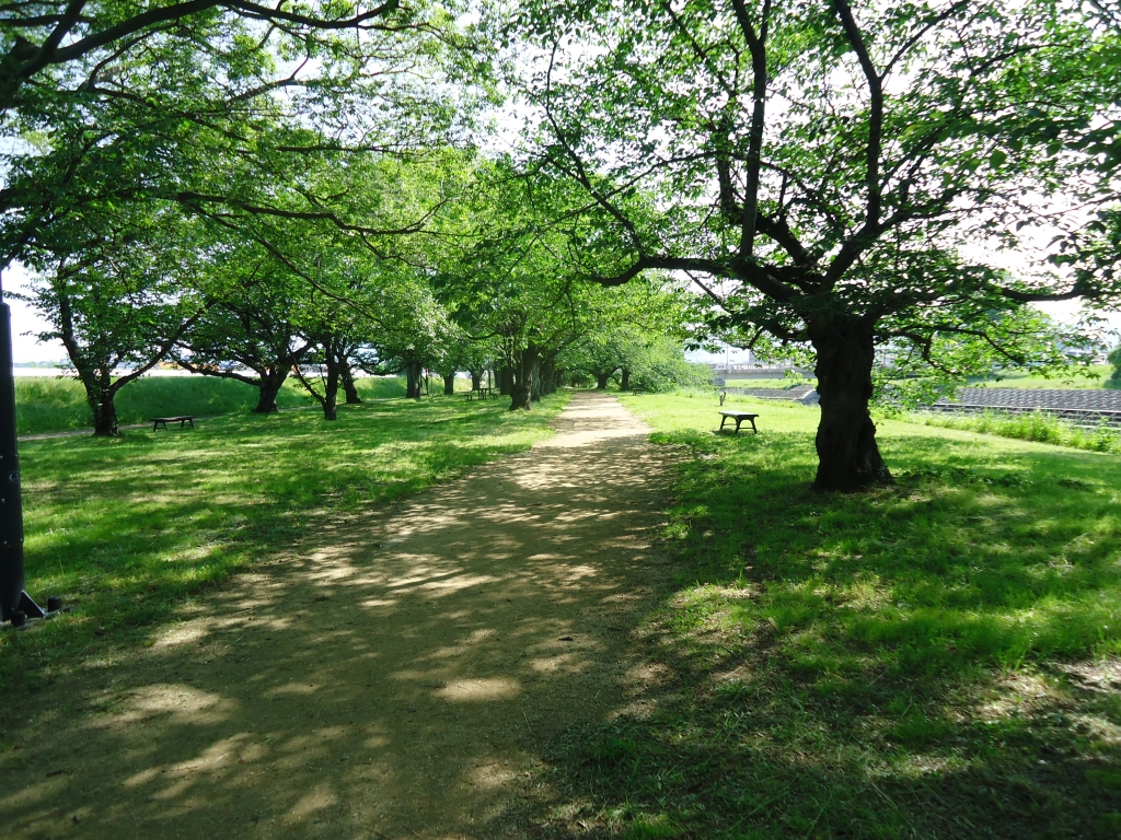 石手川公園駅 ラン！ | シニアでマラソン頑張ります。