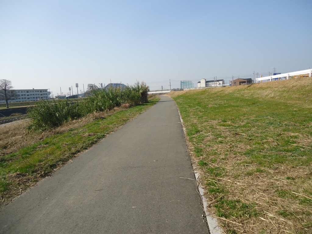 シニアでマラソン頑張ります。