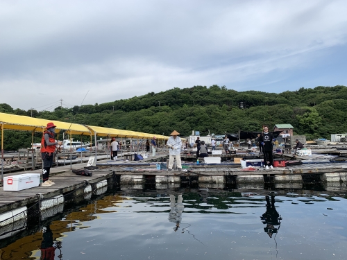 6月 釣堀水宝 ウキは大事です。 | 釣り日誌