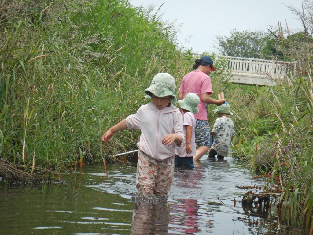 ブログ・お知らせ | ちがさき・もあな保育園