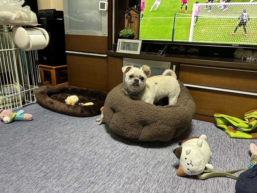 次々終わる漫画 | 日記