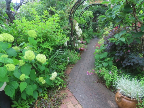 タマの田舎暮らし