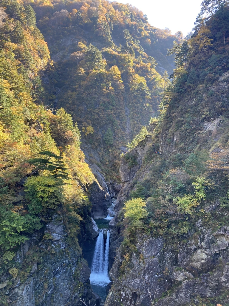 美容室 Lamp's 【新潟県 柏崎市】