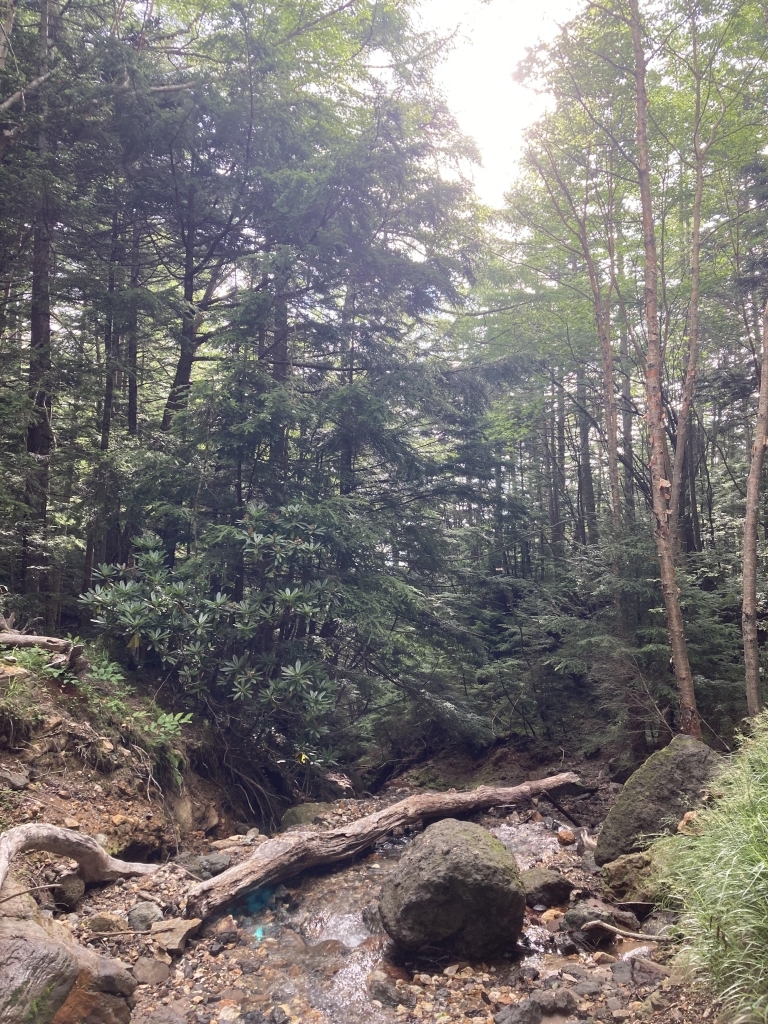 美容室 Lamp's 【新潟県 柏崎市】