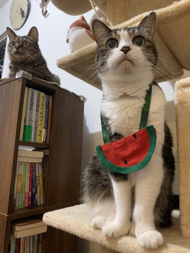 日本画家の田中寿之さんに会う☆in銀座 | 宇宙の盆栽。