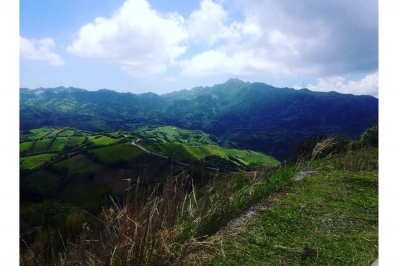 マニラフリーク