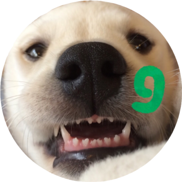 2018年度9月啓発活動スケジュール | 兵庫介助犬協会 スタッフブログ