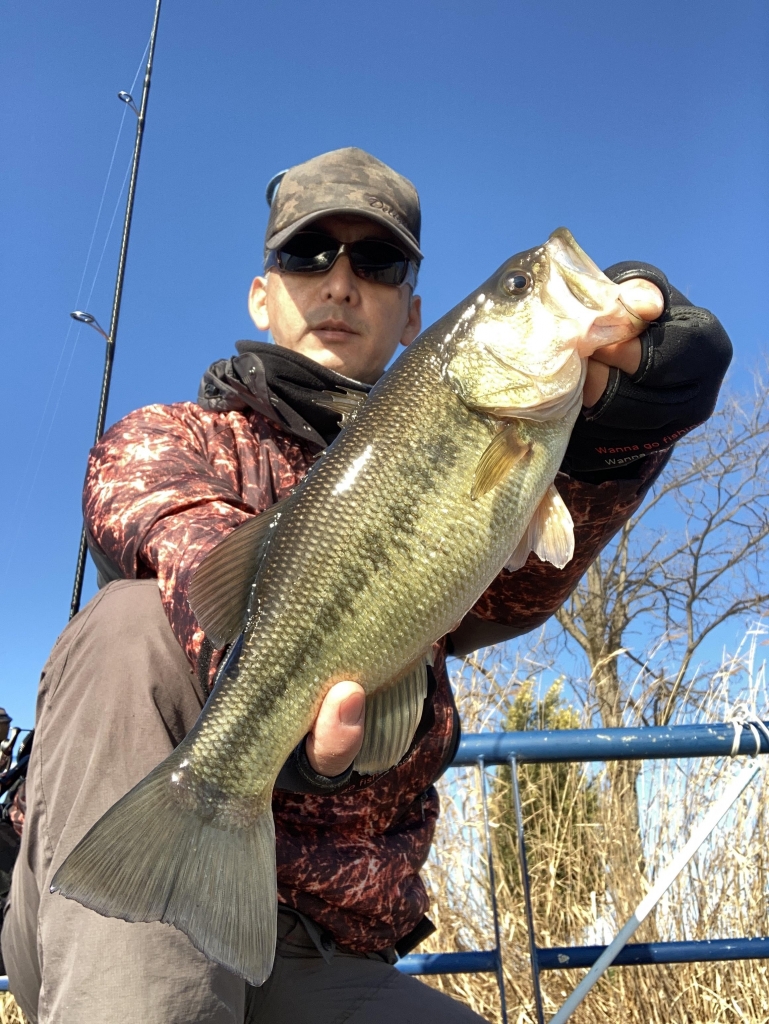 釣り納め | 釣りおもろすぎ！