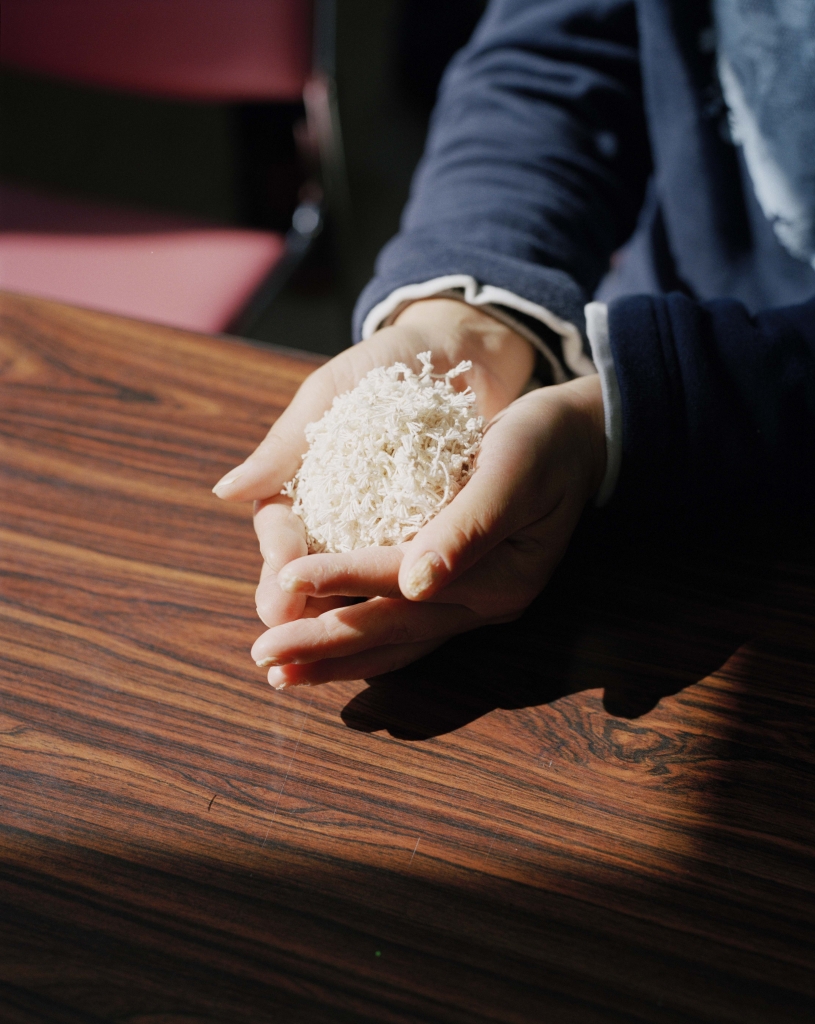 ルンビニック・アーティスツ！2025～feat.似里力～ | るんびにい美術館blog