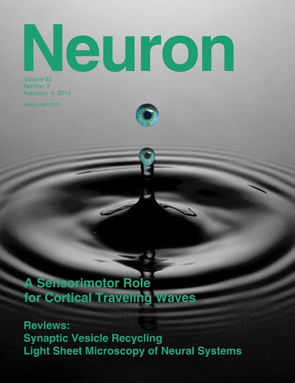 Neuron | Cell Cover Collection
