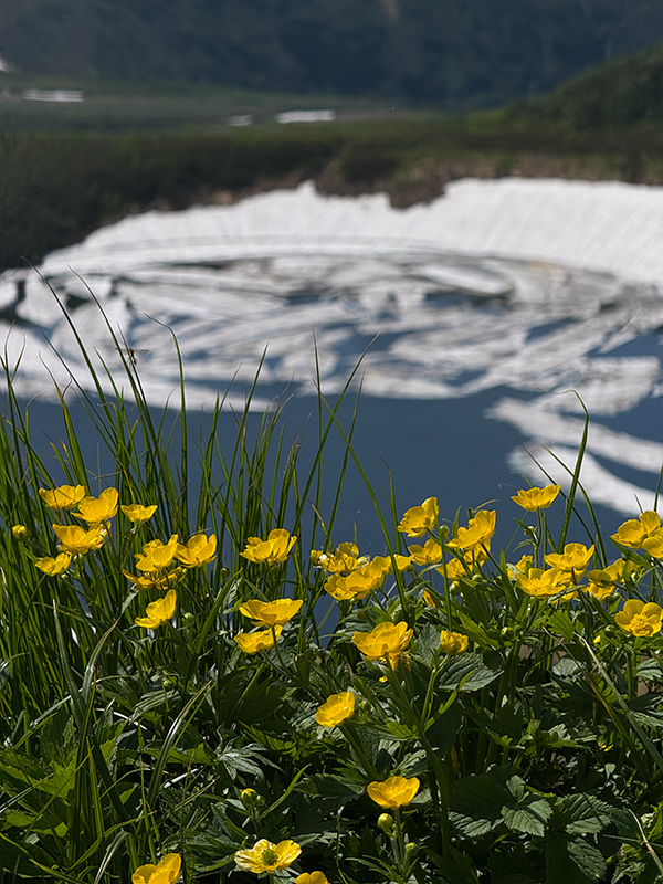 マイノリティリポート R1200GS R1250GS RALLY 秋田バイクブログライダー タクマ akita blog motorcycle ...
