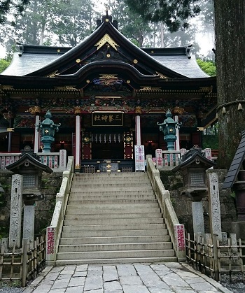 ご神木の中 | 光をもとめて