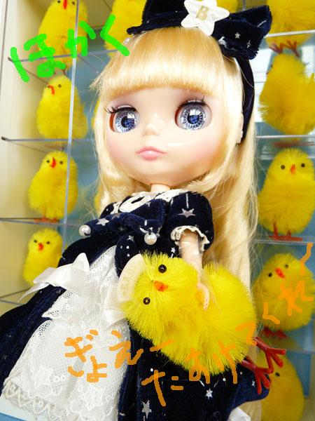 ホシノナミダヒメ 開封 その2 | 機織鳥 はたおりどり ホシノナミダヒメ 開封 その2 | 機織鳥 はたおりどり