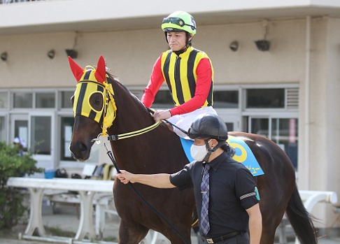 6月24日船橋3レース新馬、プラチナプライド優勝！ | 南関魂 高橋華代子の南関東競馬ブログ