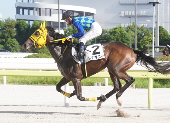 南関魂 高橋華代子の南関東競馬ブログ
