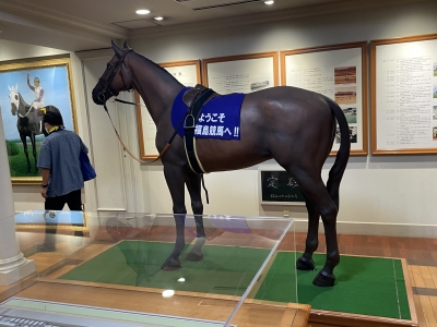 福島競馬場遠征ネタ | ☆ゆきんこの おうち☆