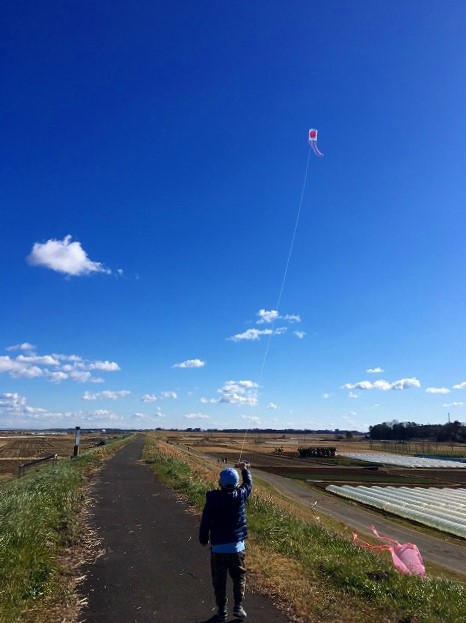 ビーバー隊、布施弁天に初詣と凧揚げに行く | ボーイスカウト柏10団、いつも～元気っ！