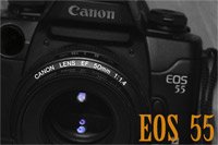 2025のこと | 「レンズの むこう・・・」