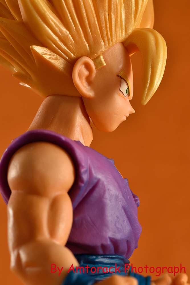 フィギュア撮影ドラゴンボール 49 | 動物園より・・・・ 時々雑多写真展。
