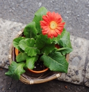 最高プリズム量 更新 | 眼鏡工房 久保田