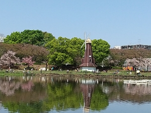 浮間舟渡の八重桜 | 内山 斉放 「SEIHOな日々」