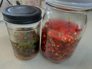 フリーの水曜日 | 内山 斉放 「SEIHOな日々」