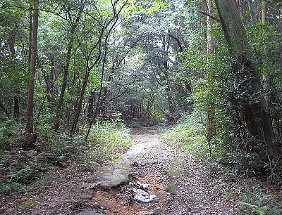 愛知県春日井市・高座山へ。[鉱物採集・第7回（水晶）] | マホガニーなDaily☆