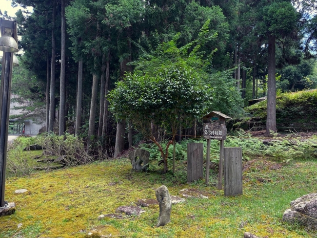 マホガニーなDaily☆