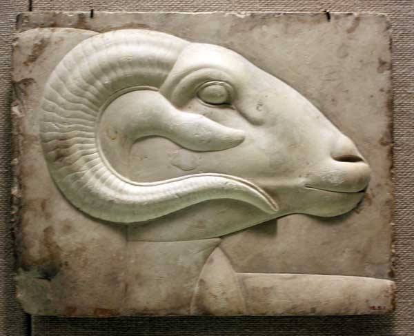 絶滅動物 | J .J . オーナーブログ