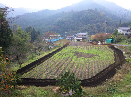 晩秋、埼玉丘陵練 97km | 建築家ノート 自転車ダイアリー